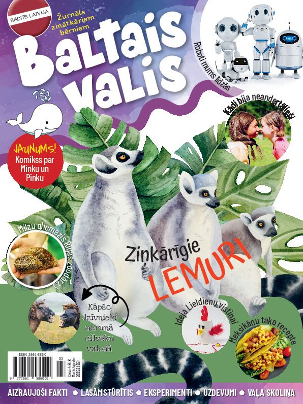 Baltais Valis